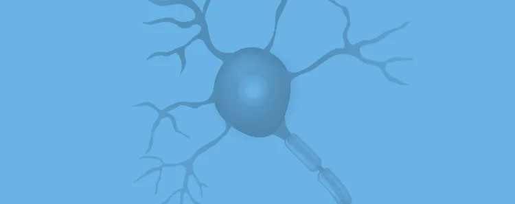 About metachromatic leukodystrophy (MLD)